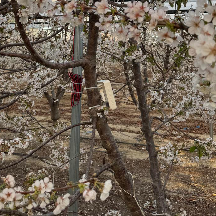 Datafruit - La plataforma inteligente de monitorización y predicción