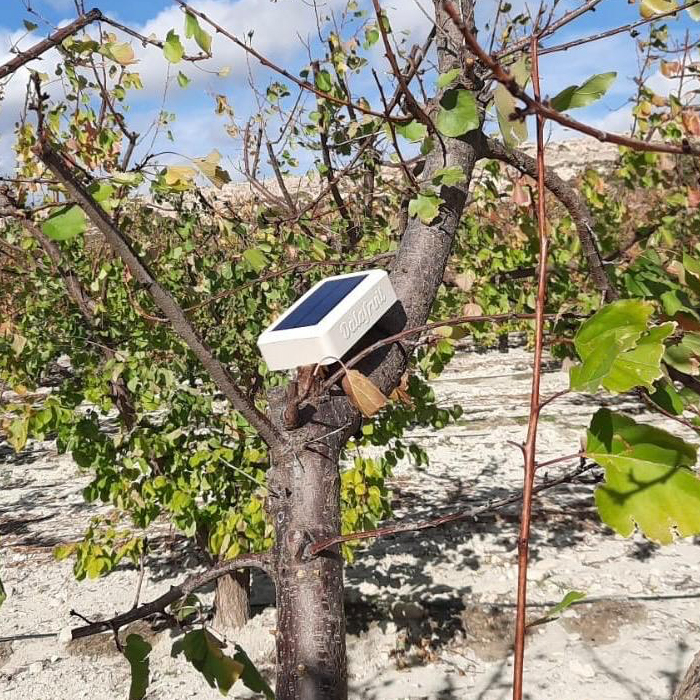 Datafruit - La plataforma inteligente de monitorización y predicción